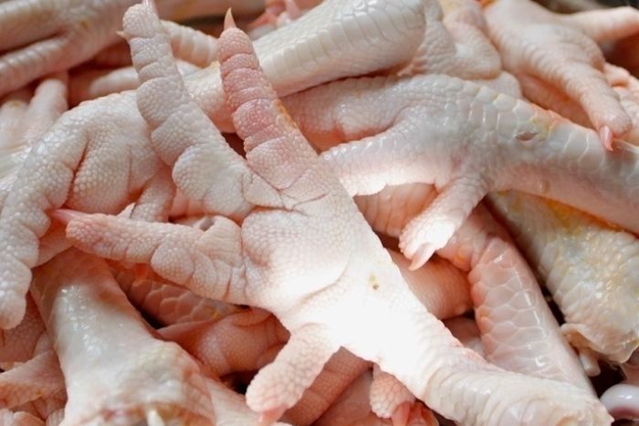Buy Frozen or Thawed Chicken Feet Online | Mercato