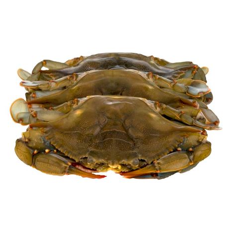 Buy USDA Wild Jumbo Soft Shell Crab Online | Mercato