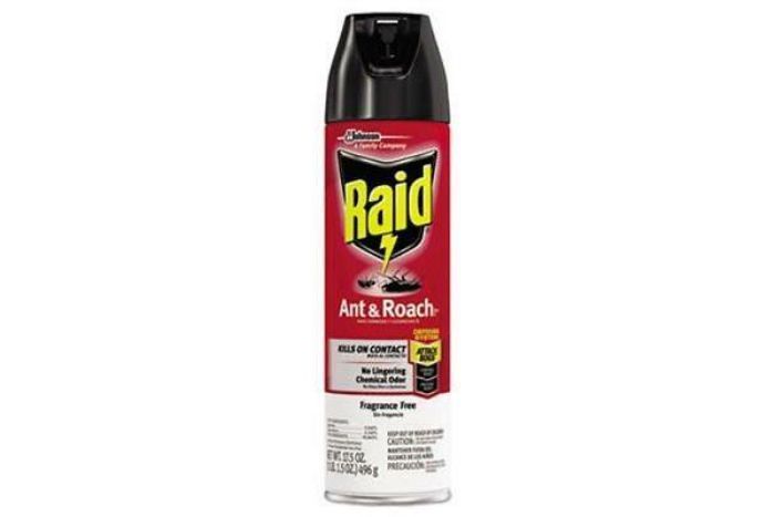 Buy Raid Unscented Ant Killer - 496 Grams Online | Mercato