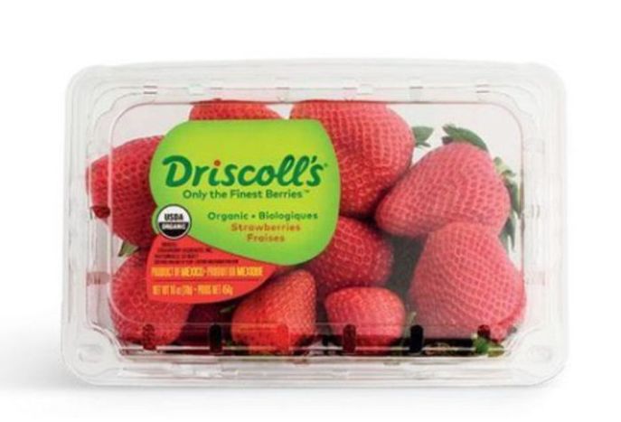 Buy Driscoll's Strawberries, Organic - 16 Ounces Online | Mercato