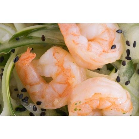 Buy Censea 51/60 Count Cooked Shrimp - 16 Ounces Online | Mercato